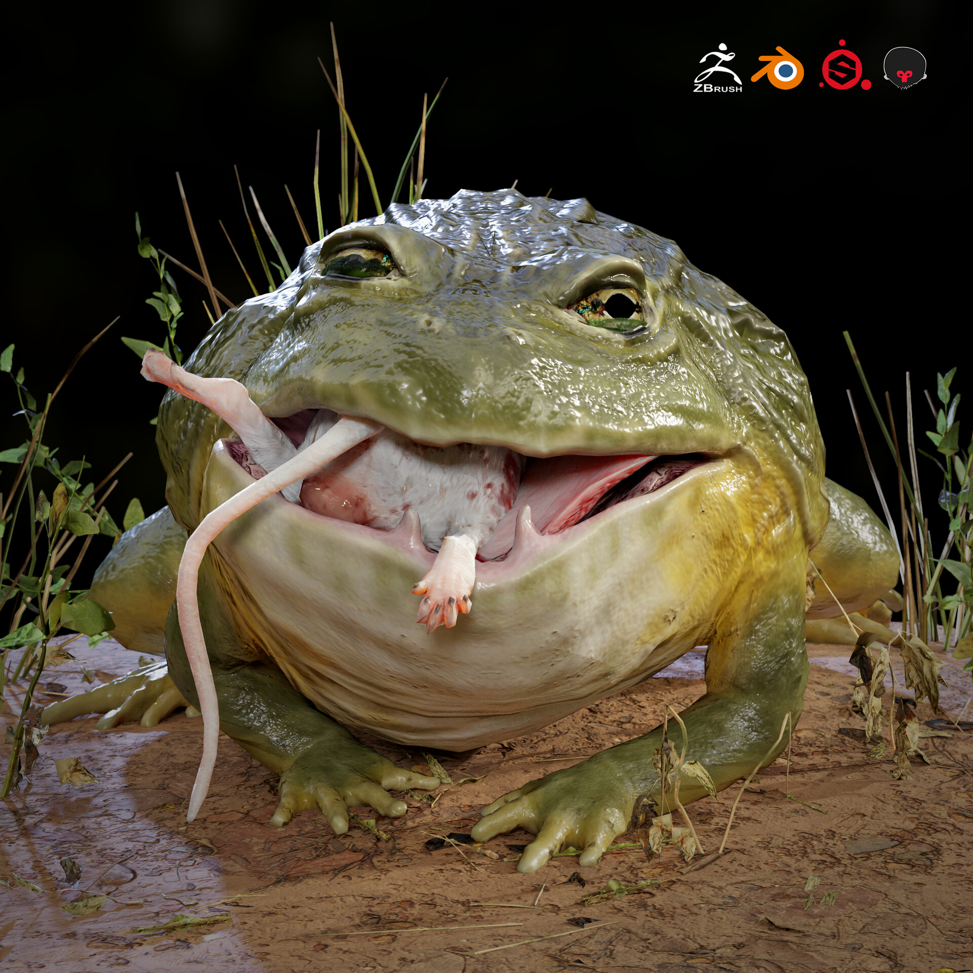 christiaangerritsen.art - African Bullfrog