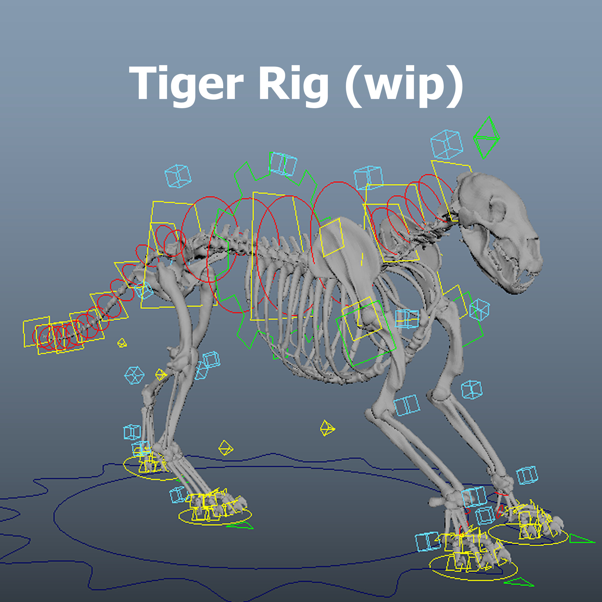 ArtStation - Tiger skeleton rig (wip)