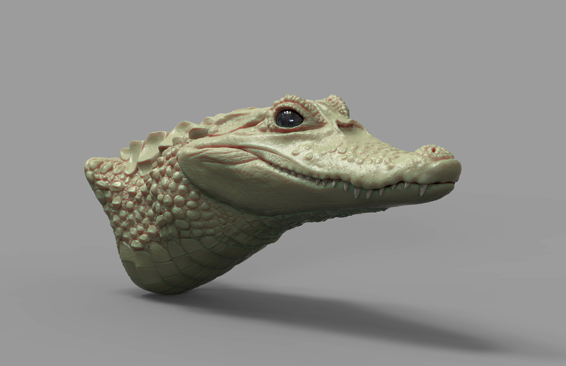 ArtStation - Caiman Head