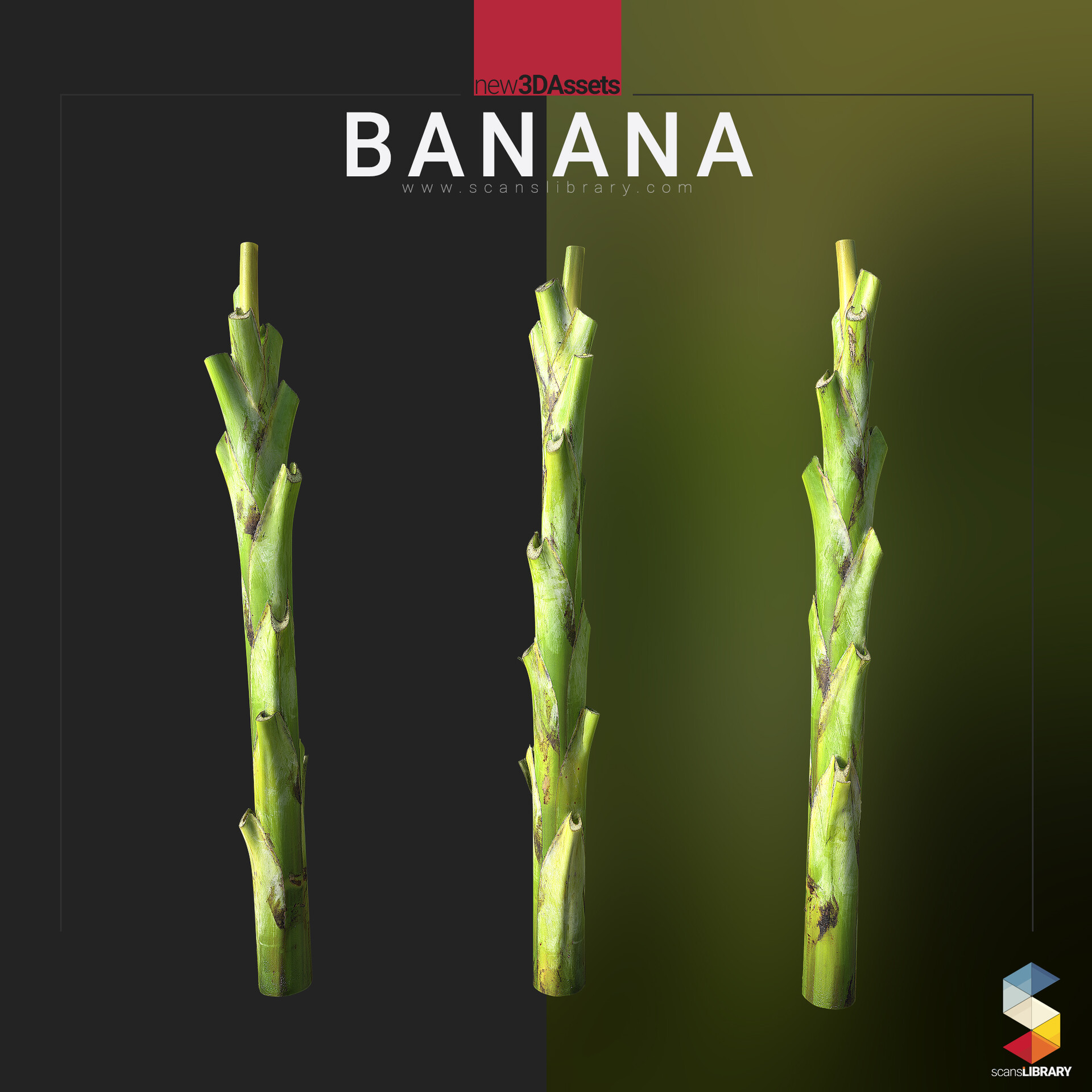 ArtStation - NEw 3D Asset / Banana Trunk
