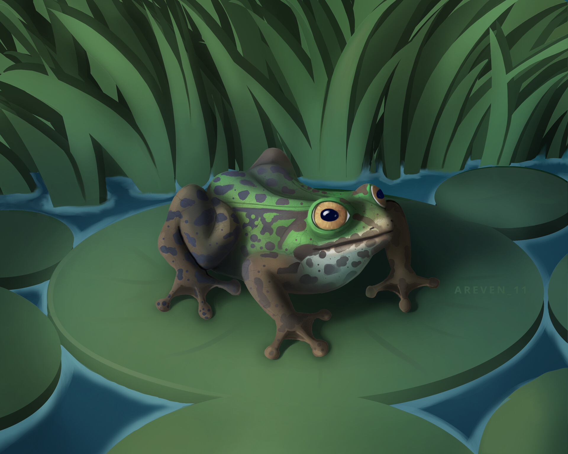 ArtStation - Frog
