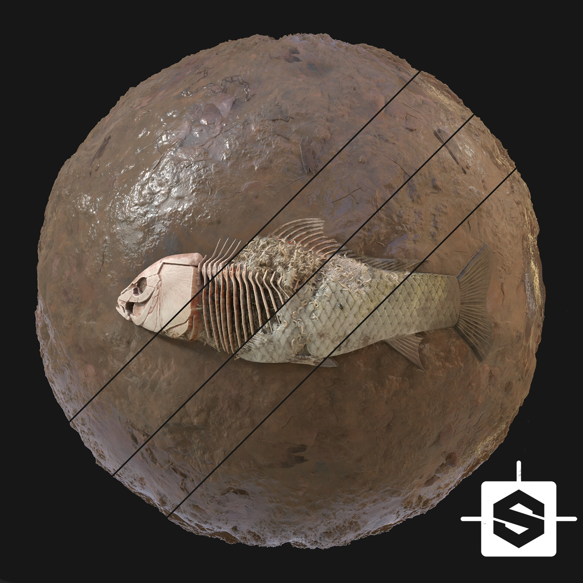 ArtStation - Decaying Fish Time-Lapse Material Made in Substance Designer