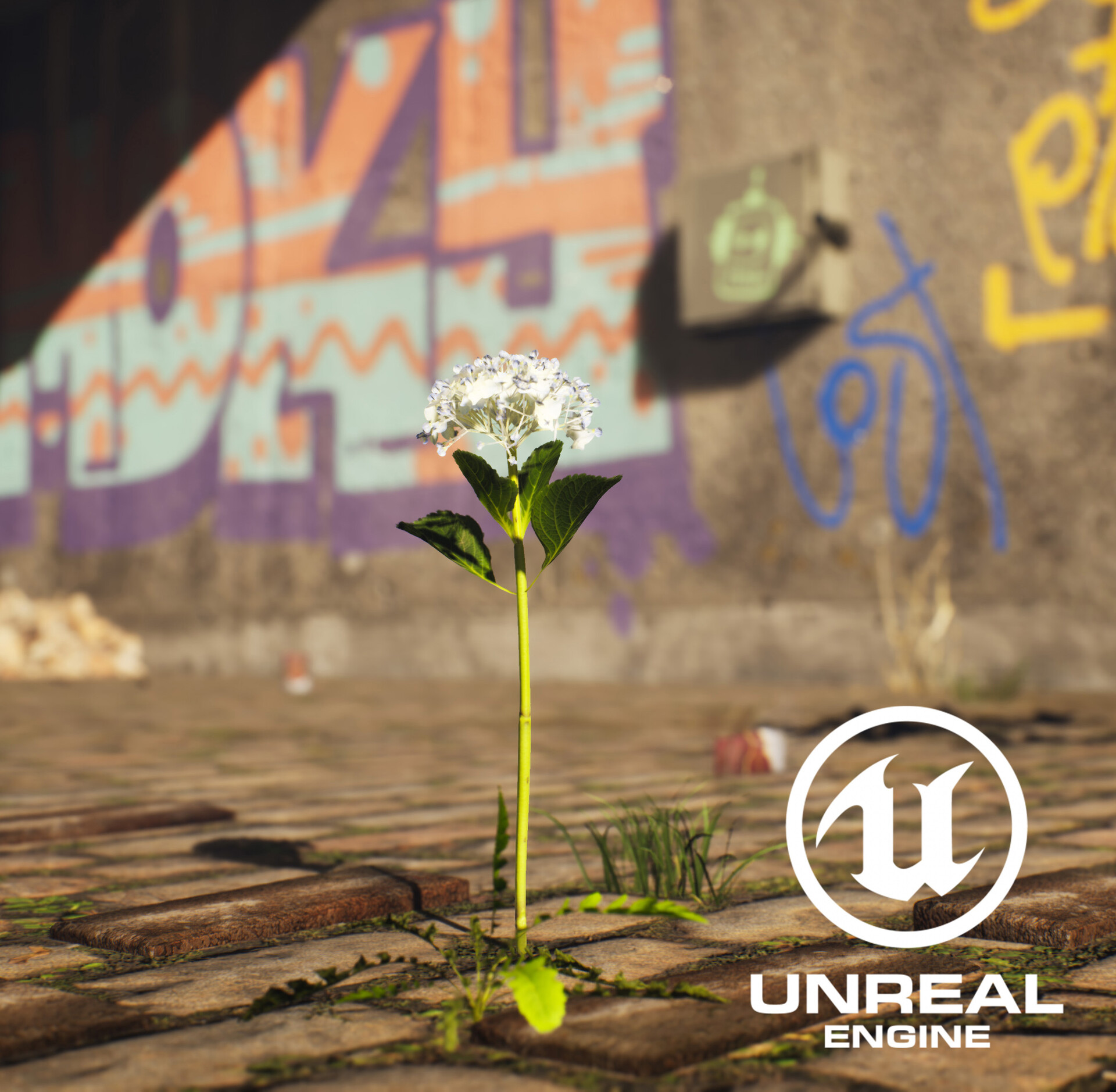 ArtStation - Lone Flower