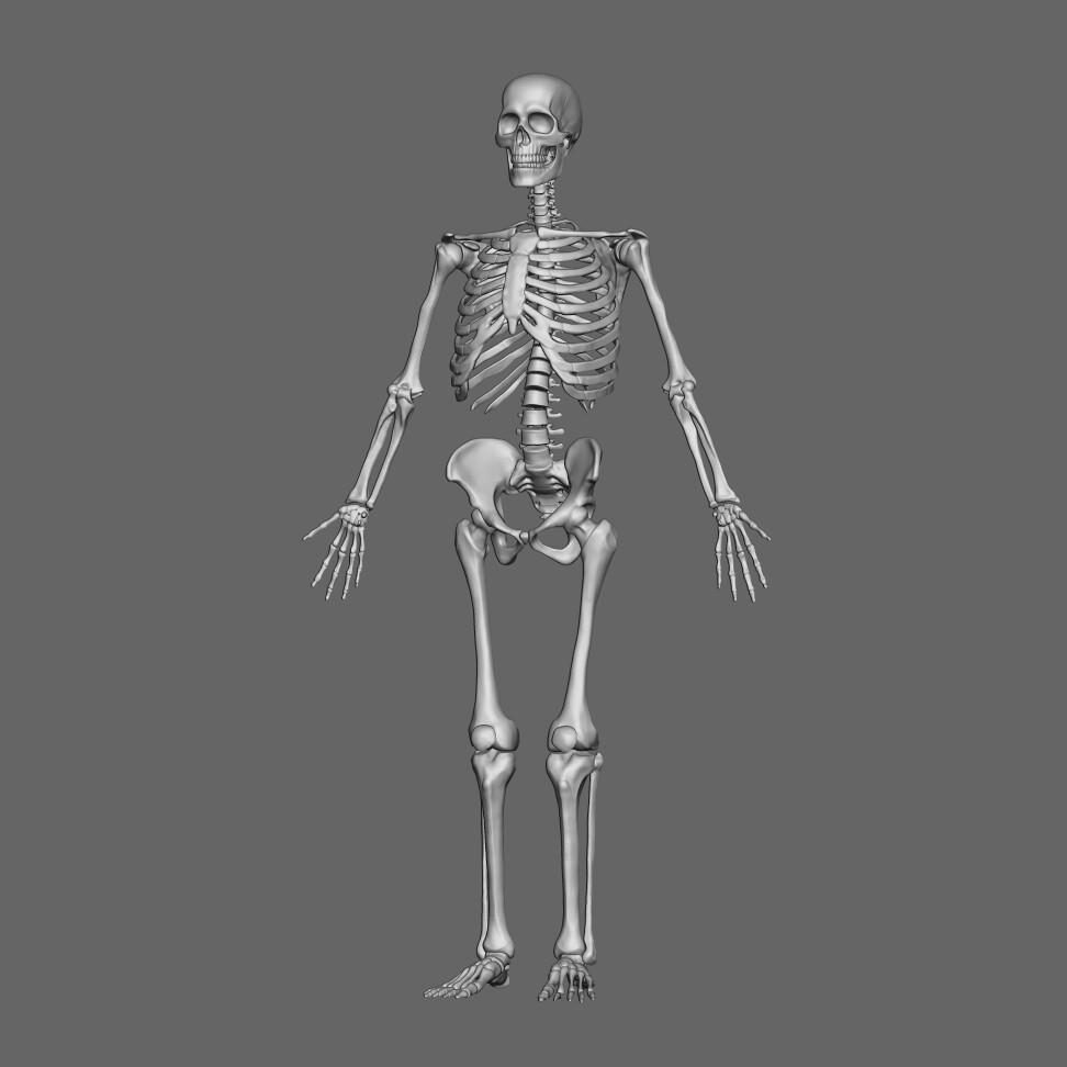 ArtStation - Skeleton