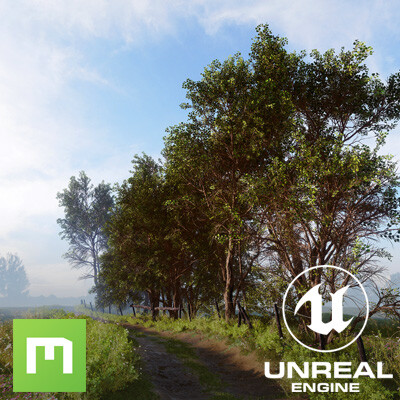 ArtStation - SEASON TEST SCENES. Megascans Trees: European Black Alder ...
