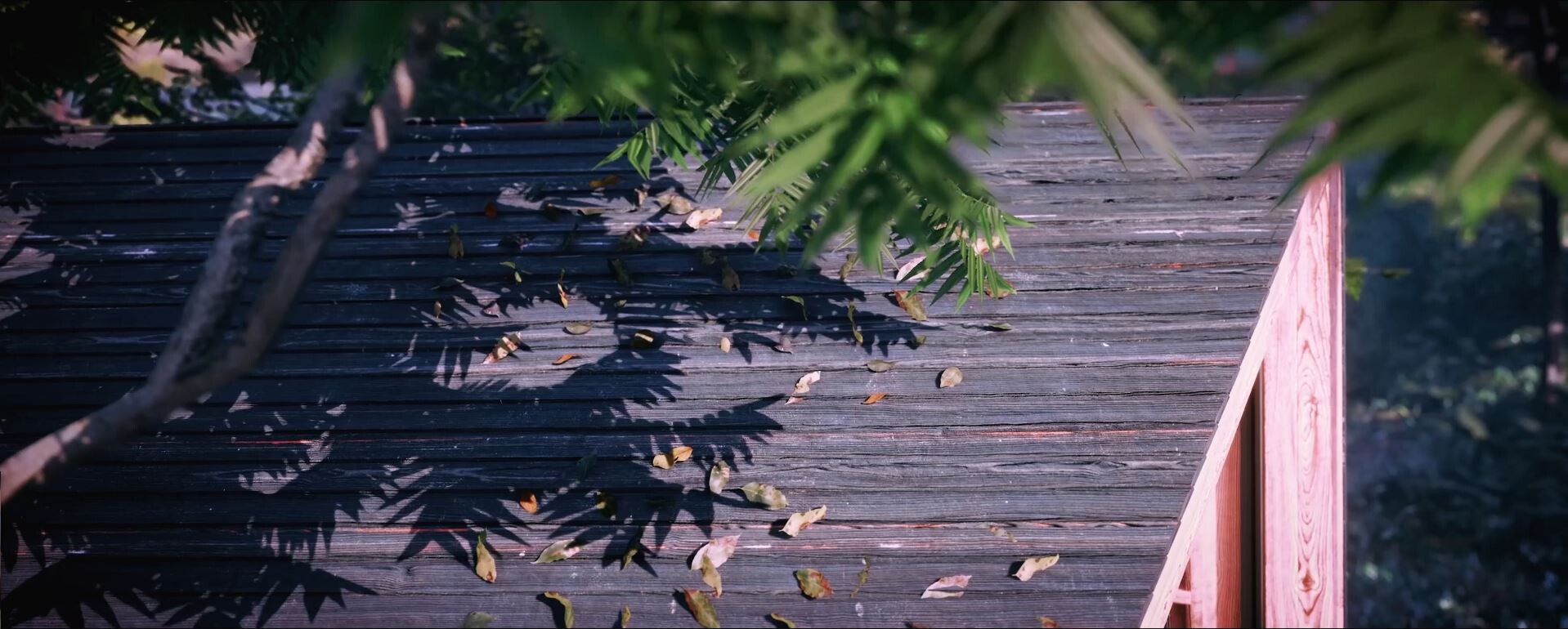 ArtStation - The Module House