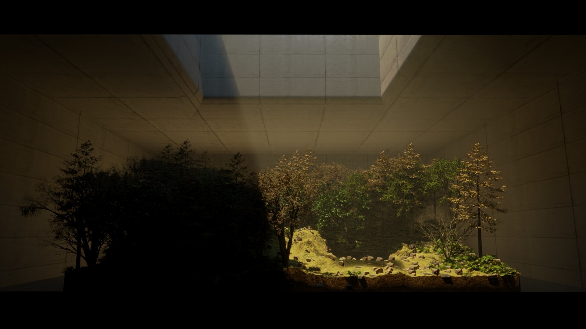 ArtStation - Botanist's Museum