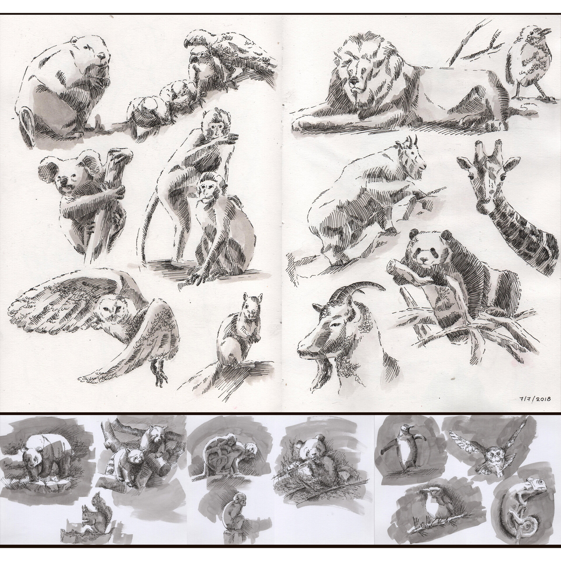 ArtStation - Animal Ink Illustrations