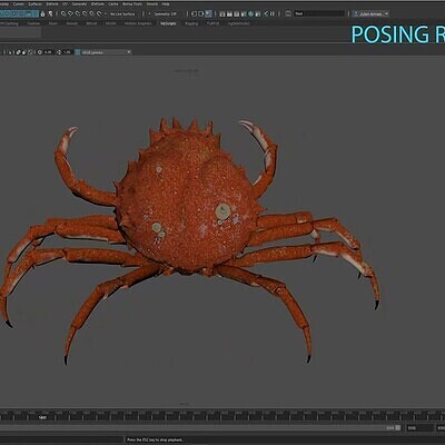 ArtStation - SPIDER CRAB RIG 🦀