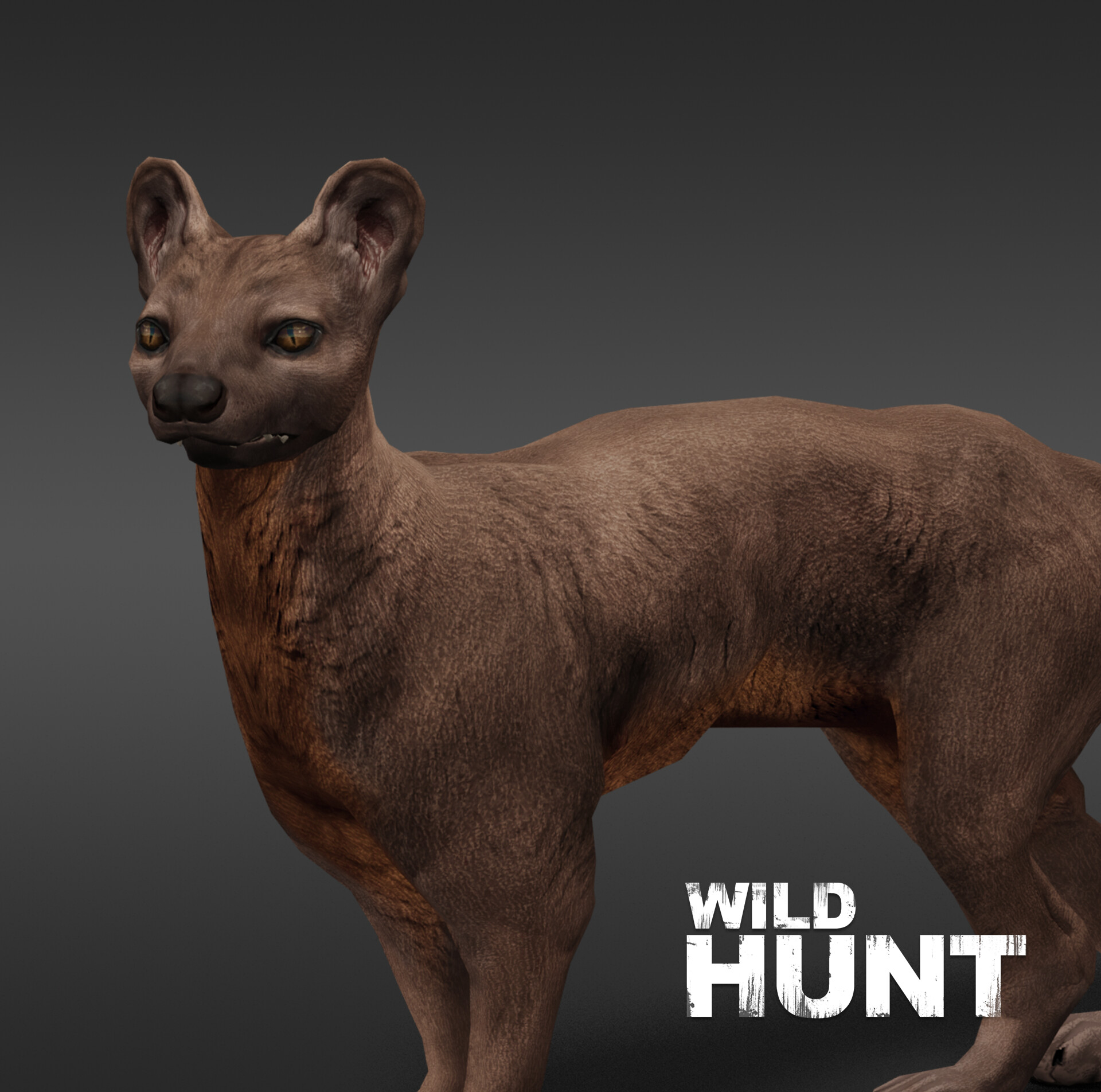 ArtStation - Fossa (Cryptoprocta ferox)