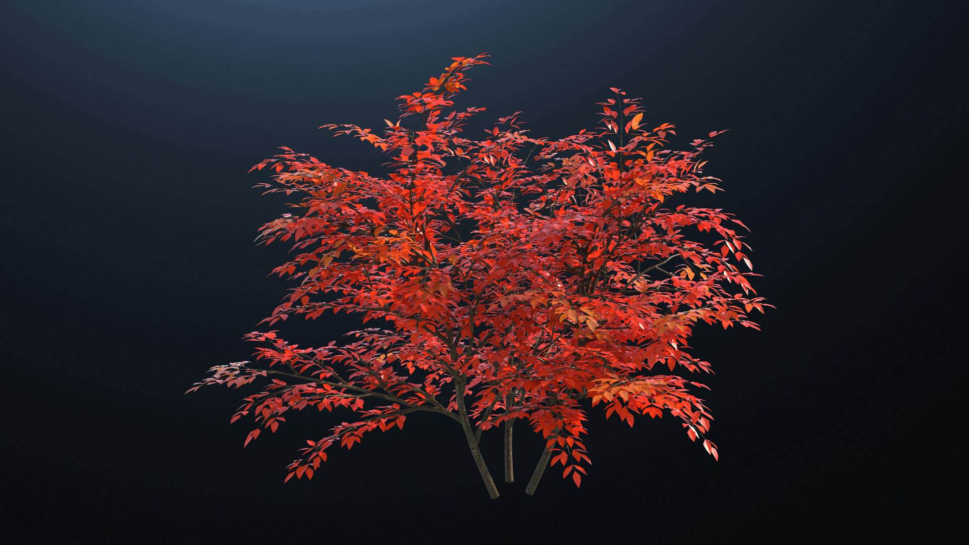 ArtStation - Shrub