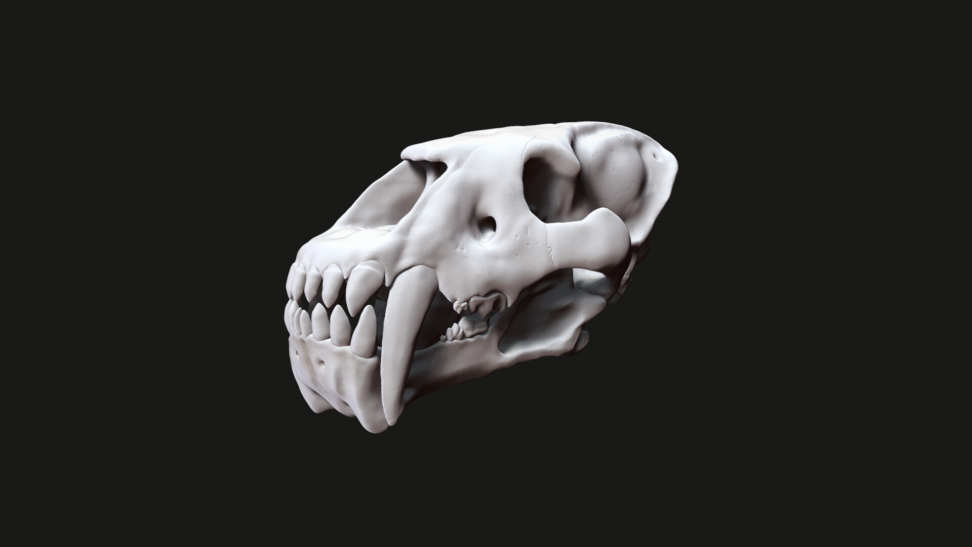 ArtStation - Homotherium sp.