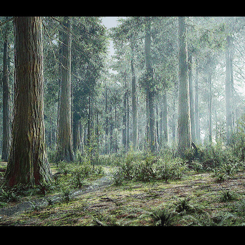 💡Adriano Grasso 💡 - Predecessor - Map Overview