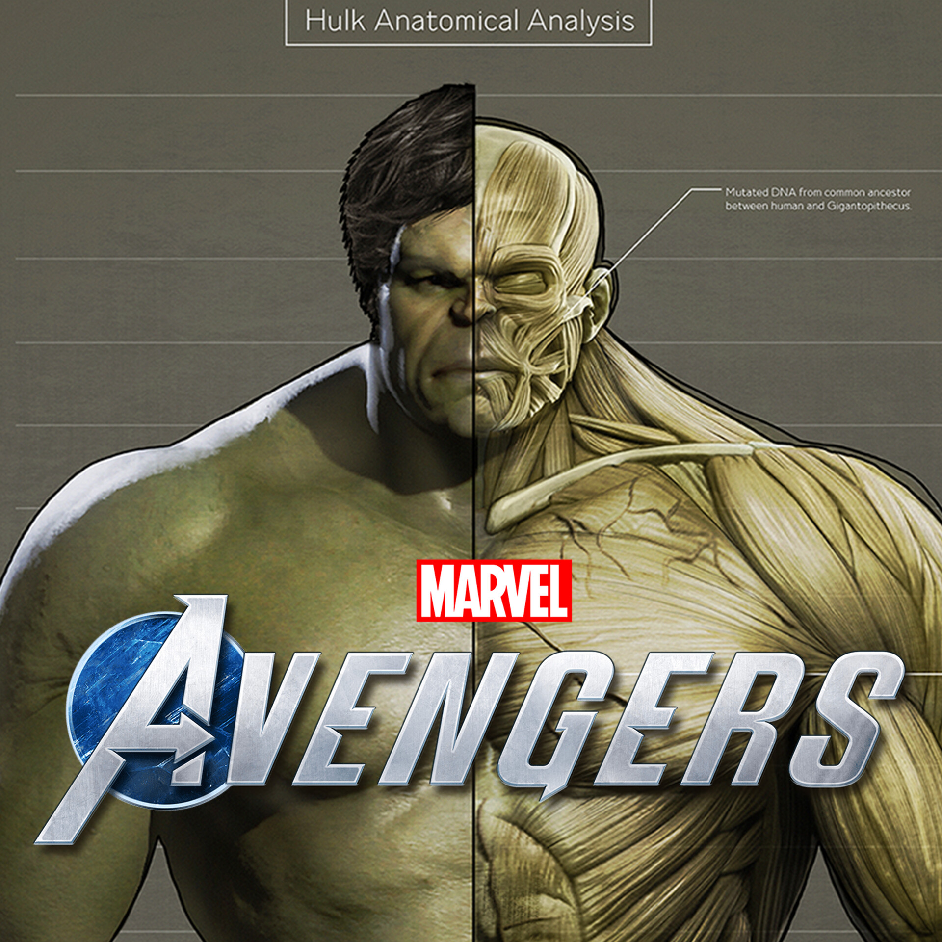 ArtStation - Marvel's Avengers : Hulk's anatomy poster