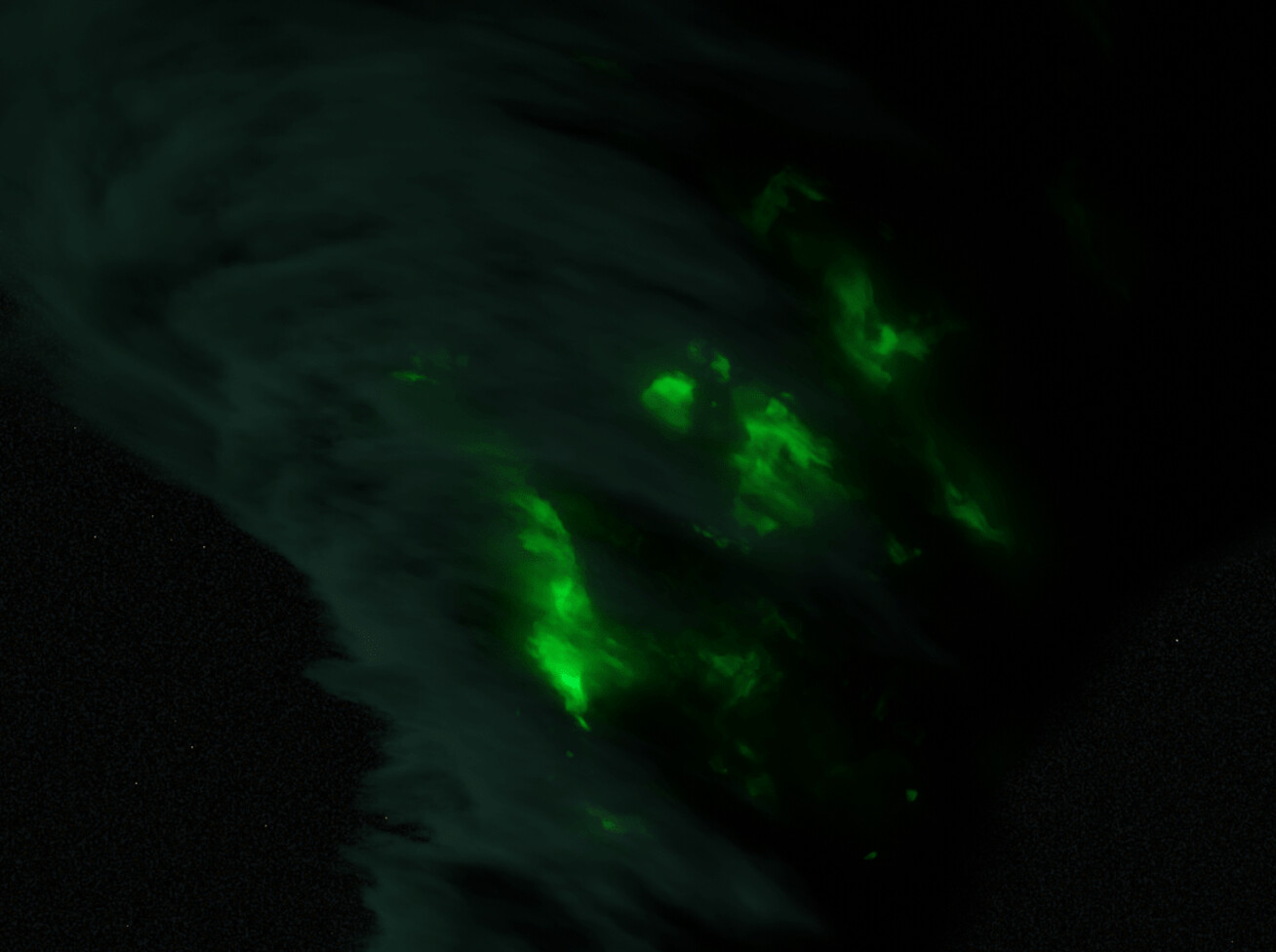Connor L - Tornado VFX [TEMP]