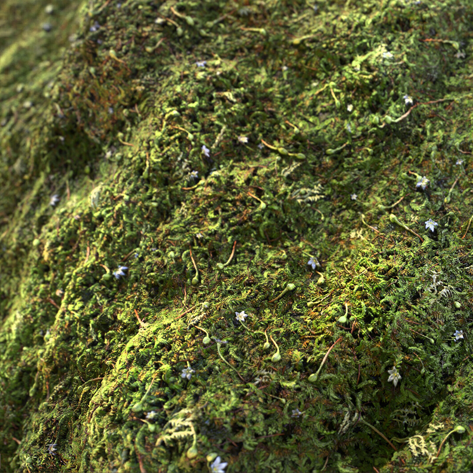 Nathanial Castronovo