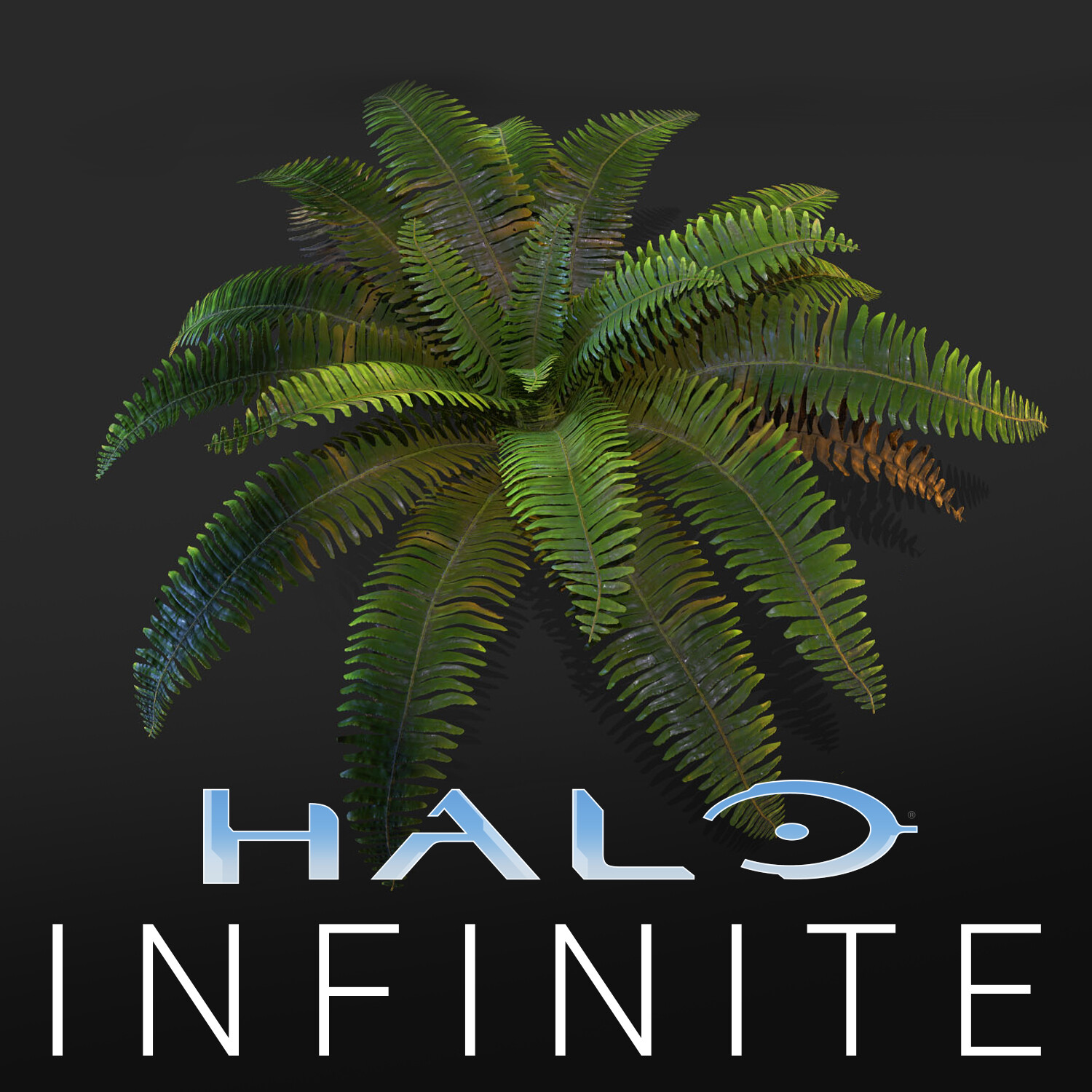 ArtStation - Halo Infinite - Foliage creation 02