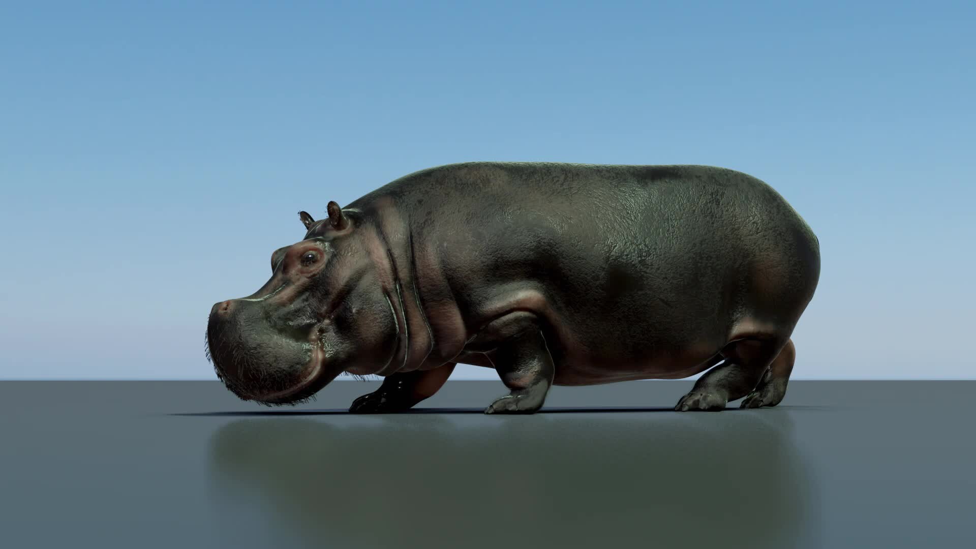 ArtStation - Hippo Render