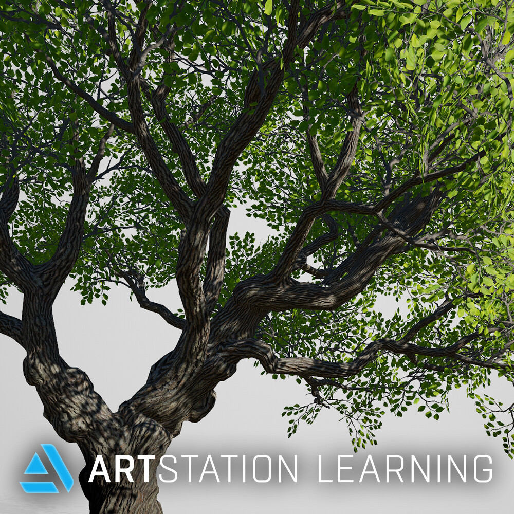 ArtStation - UE5: Artstation Learning - Trees
