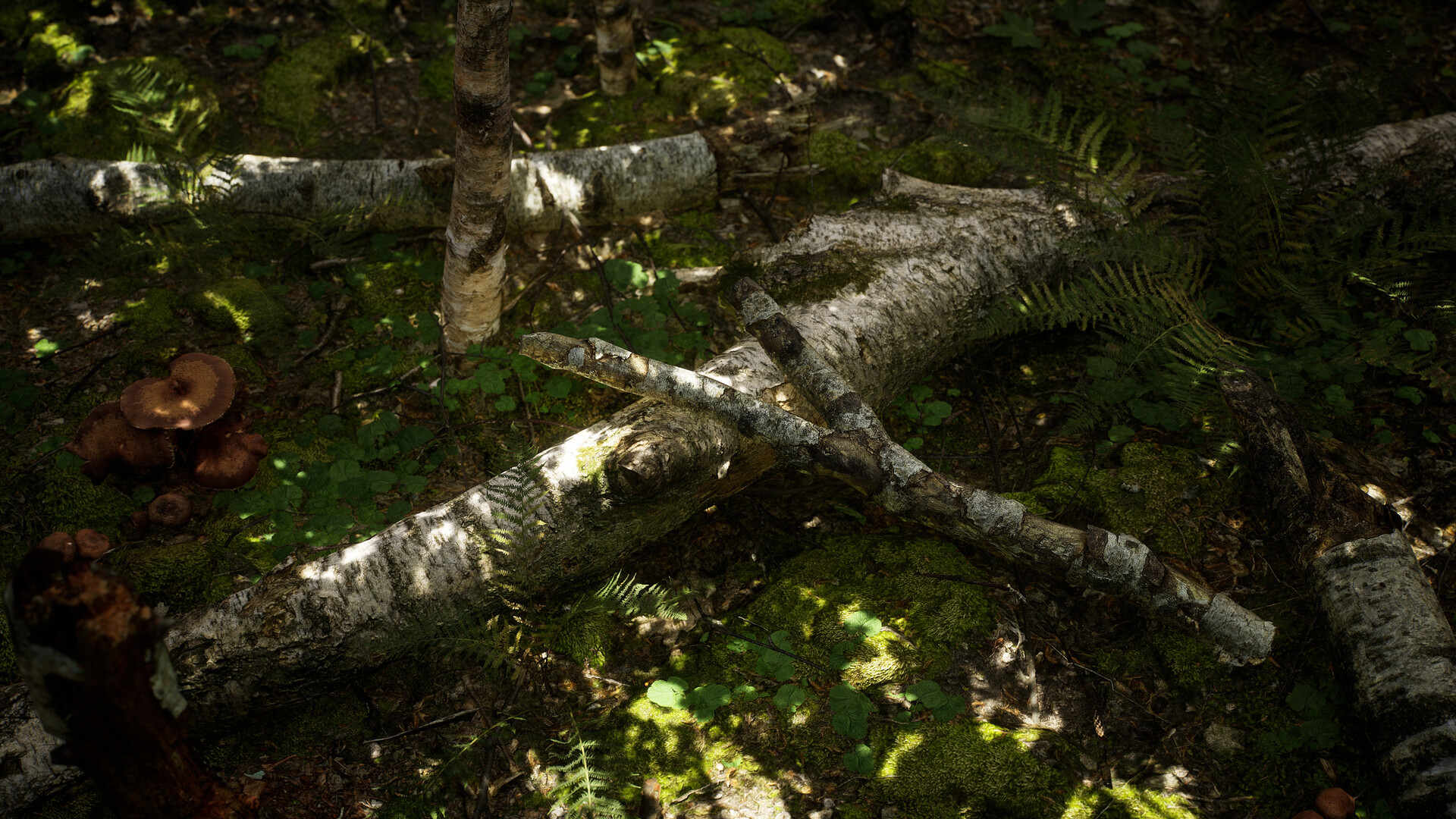 ArtStation - Birch Forest Biome | Unreal Engine | Cinematic Teaser