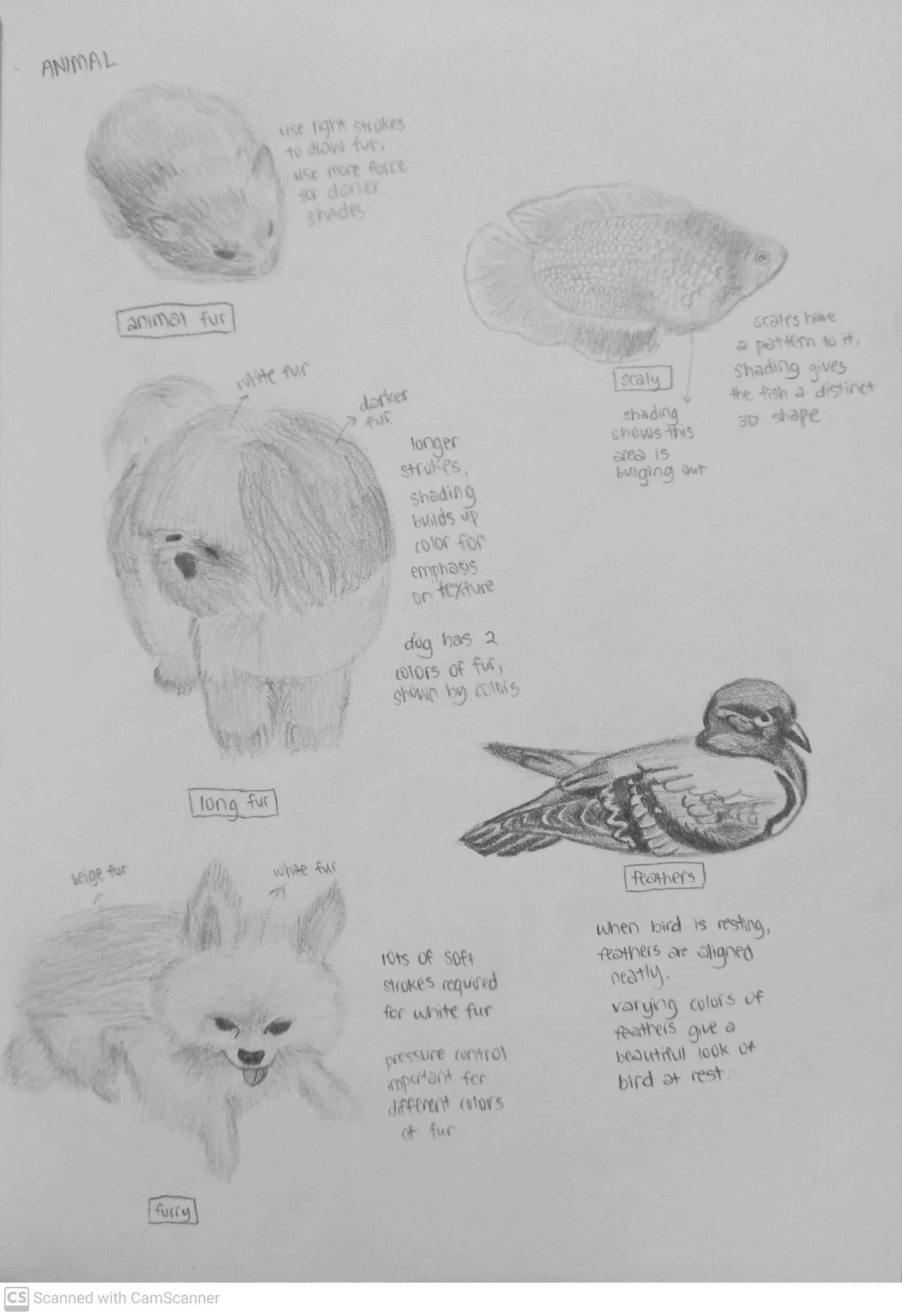 ArtStation - Draw Module Texture Studies