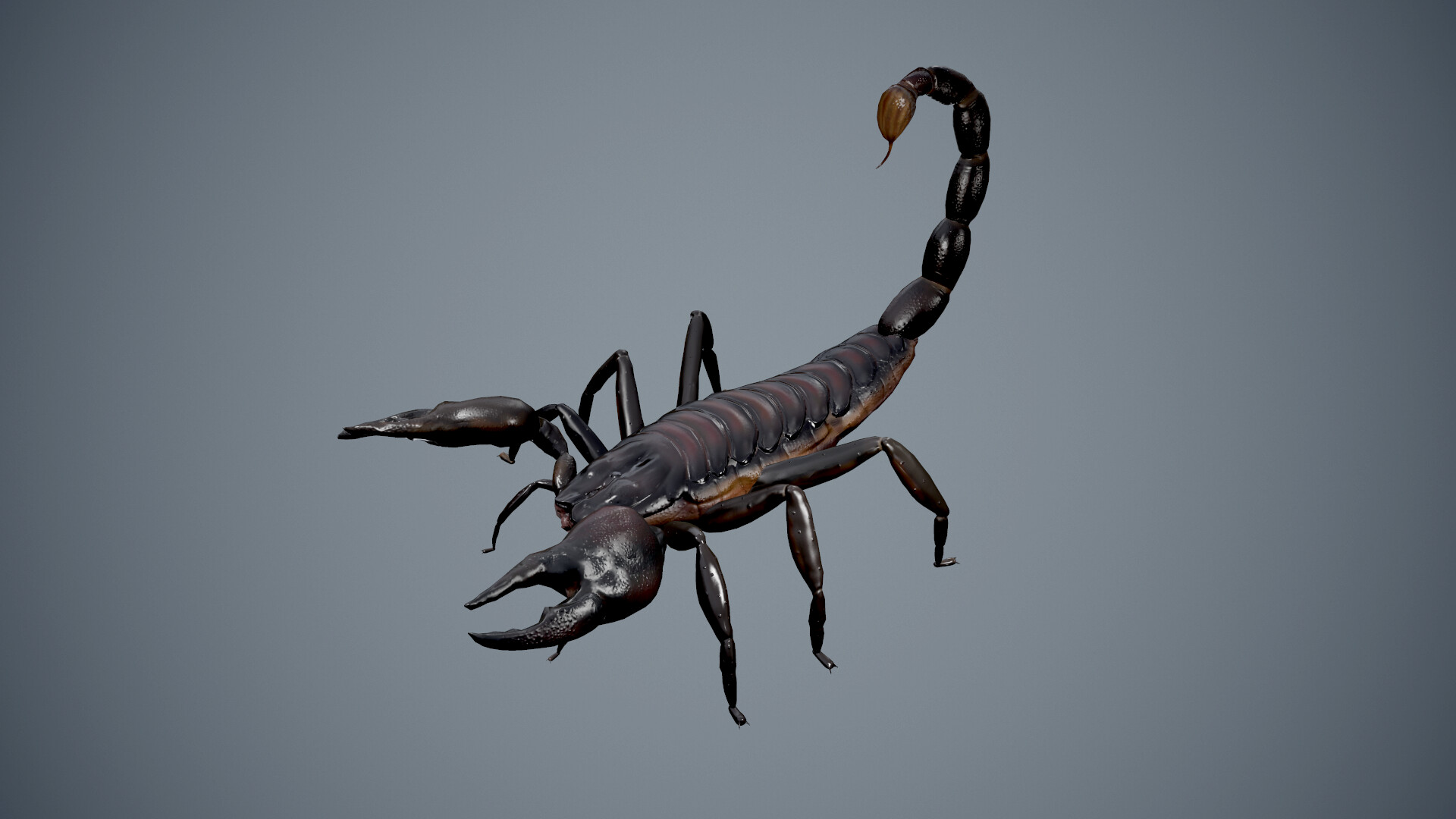 ArtStation - Work In Progress - Scorpion