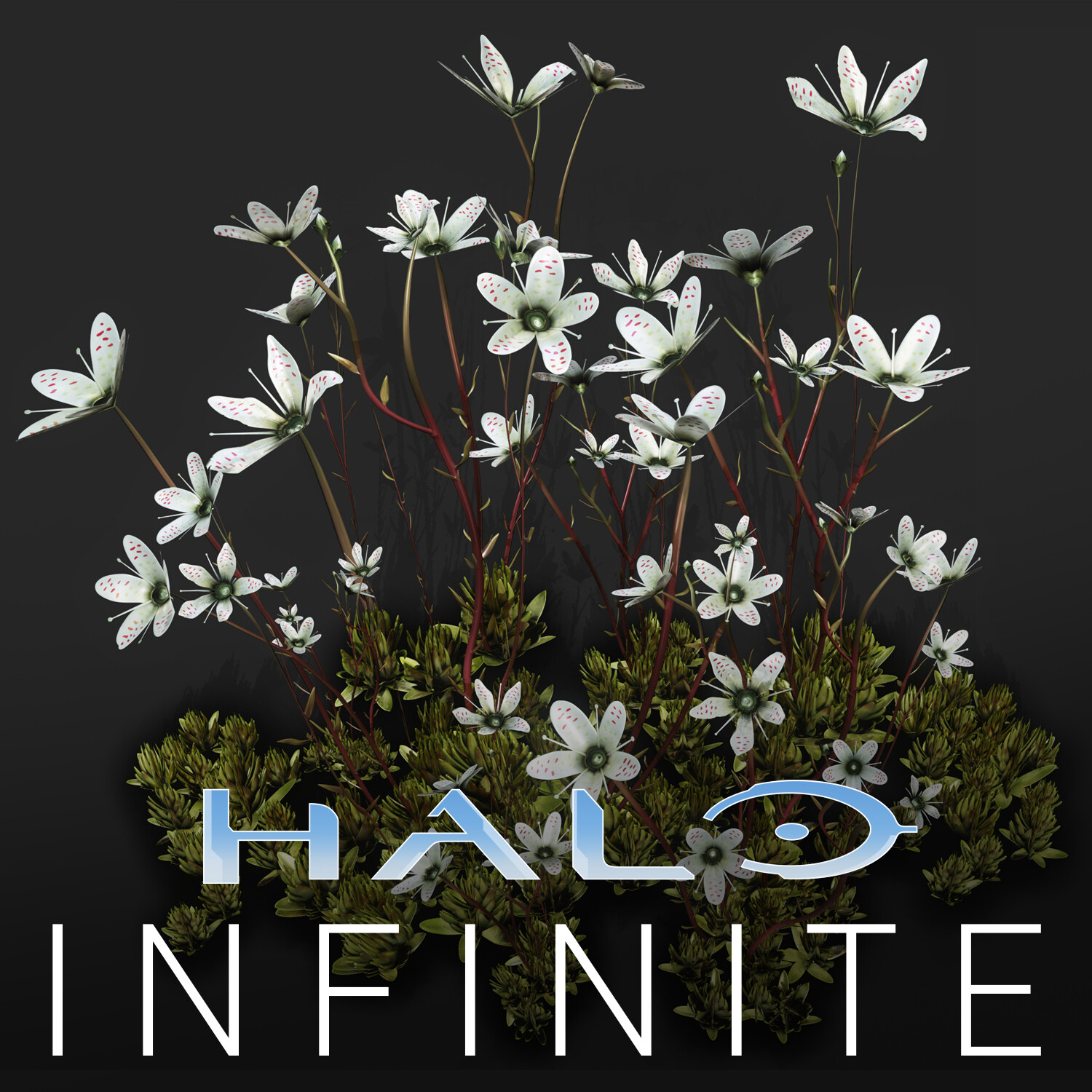 ArtStation - Halo Infinite : Foliage creation ( Whitespotted_Flower )