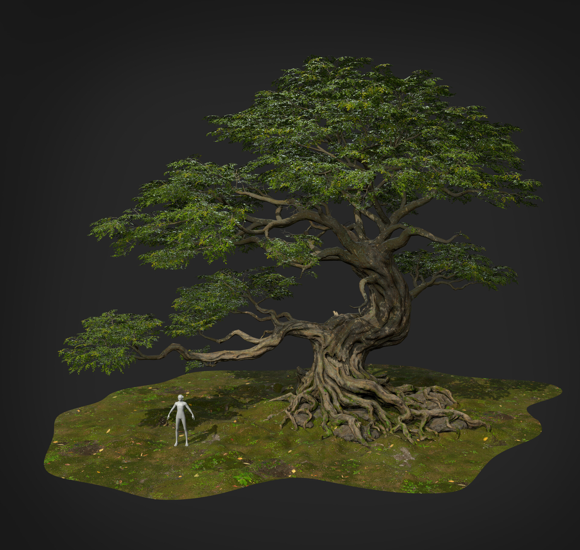 ArtStation - 一棵树