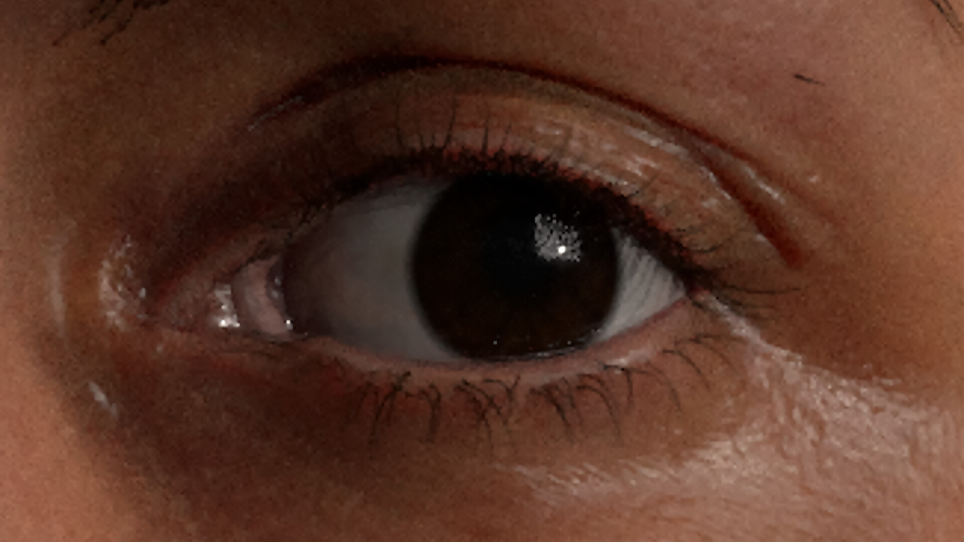 ArtStation - DIGIDOUBLE 2022