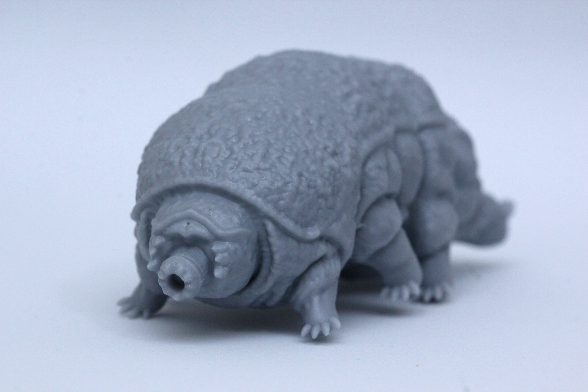 ArtStation - Tardigrade