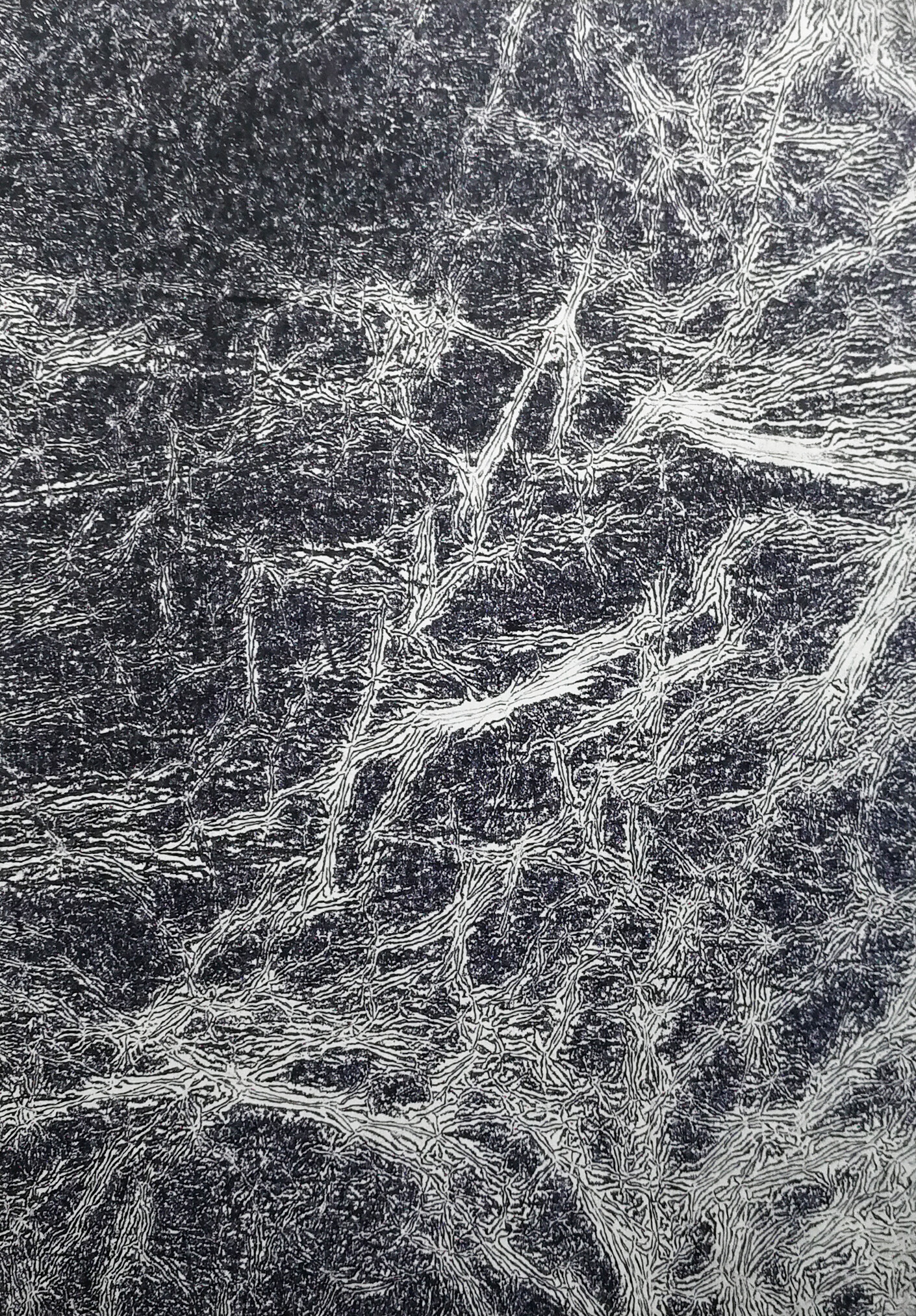 ArtStation - Carbon / Indigo 1 Drawing Sasa Rakic