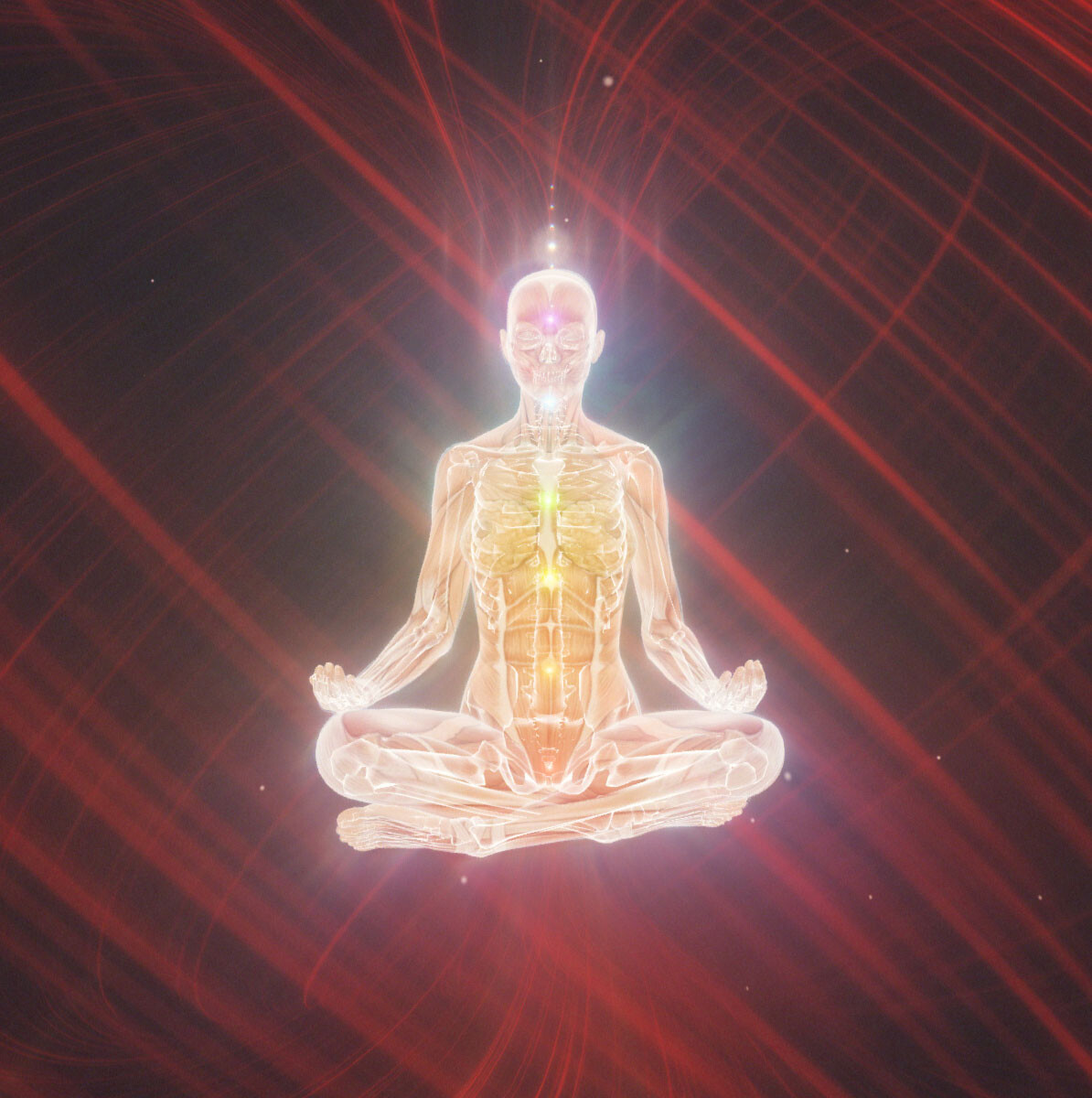 ArtStation - Torus Meditation