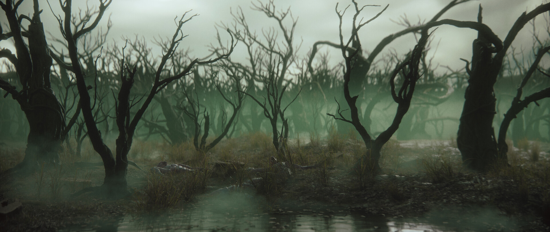 ArtStation - Mysterious Swamp