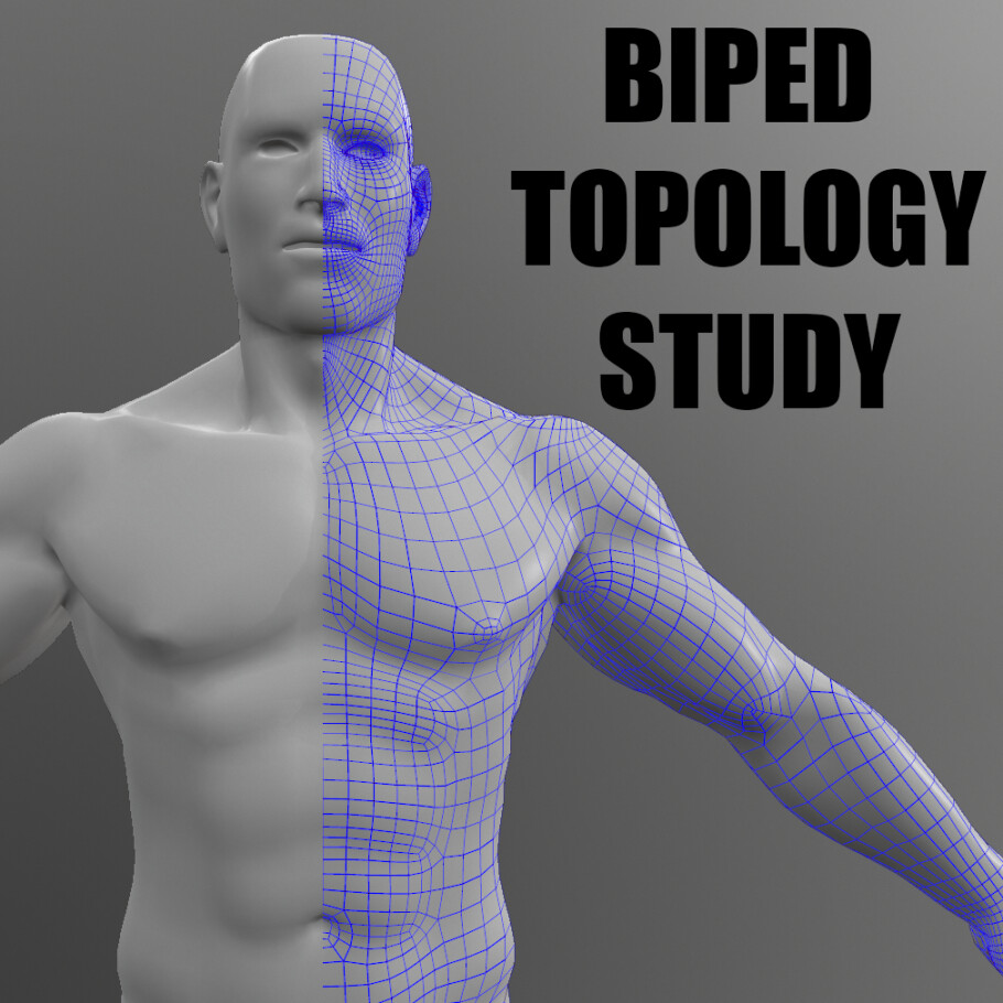 ArtStation - Male Biped Topology Study