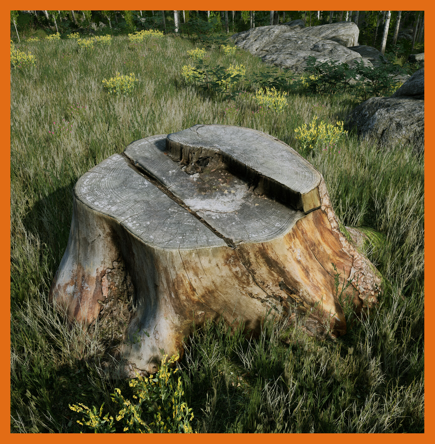 ArtStation - Stumps. Photogrammetry practices.