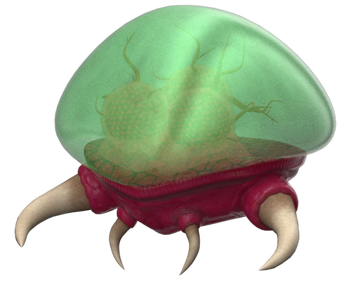 ArtStation - Metroid Larva - Unreal Scene and Process