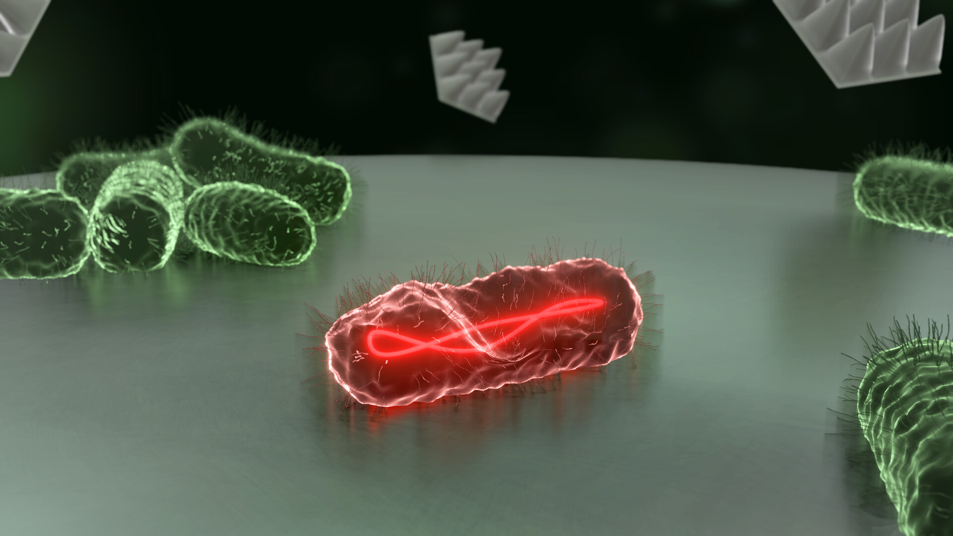 ArtStation - Animation: Killing bacteria