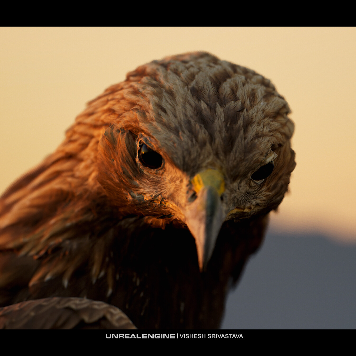 ArtStation - UE5 - Fly-high!