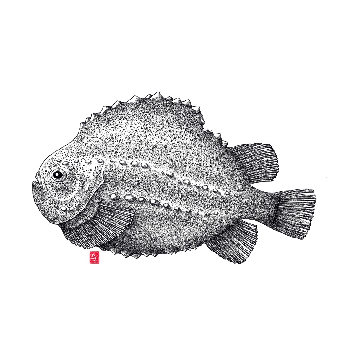 ArtStation - Cyclopterus lumpus