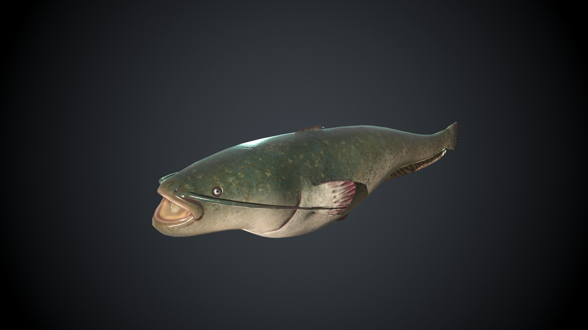 ArtStation - Catfish