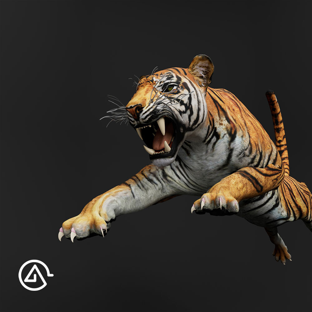 ArtStation - Animal Behavior Animation