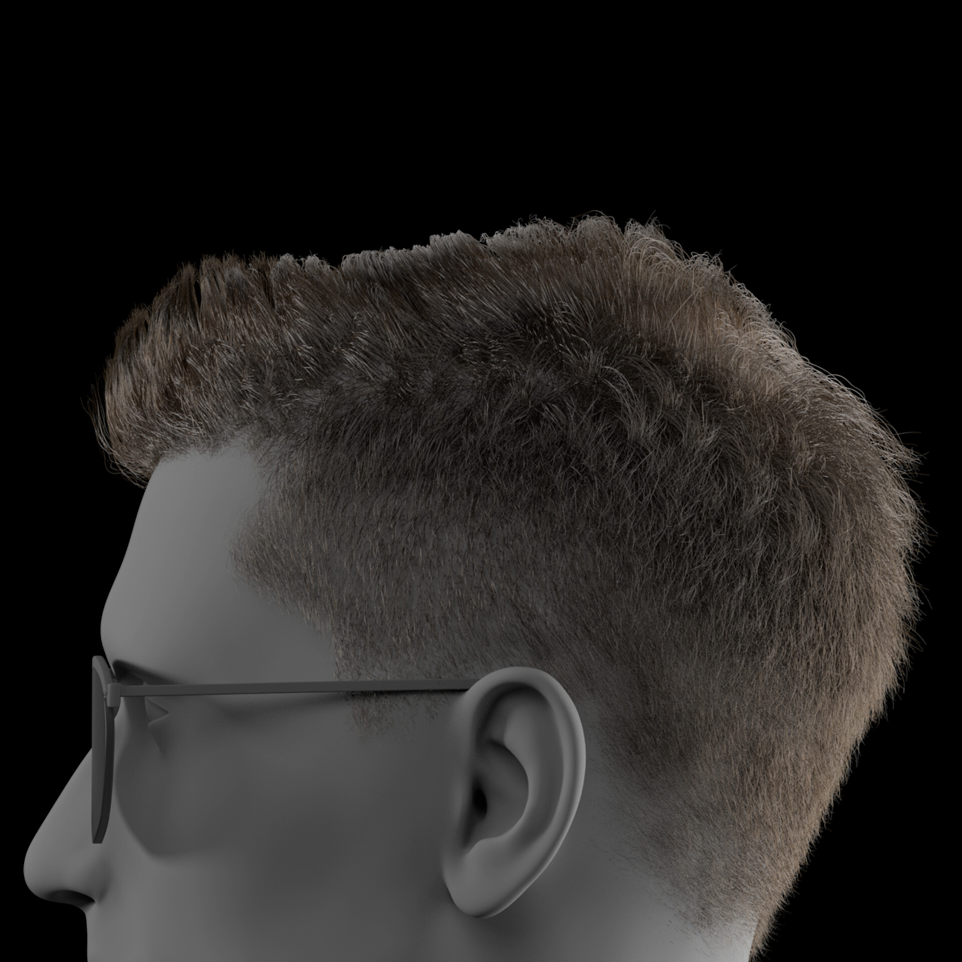 Shao Chen - Grooming Study