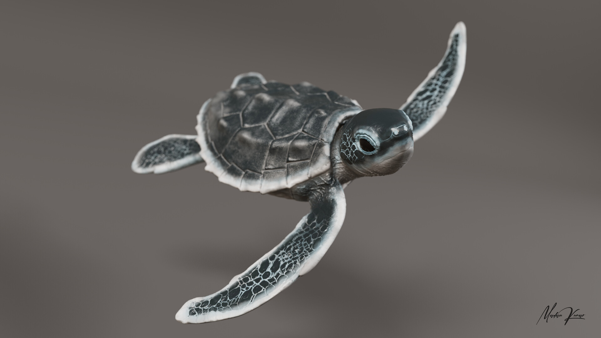 ArtStation - Baby sea turtle