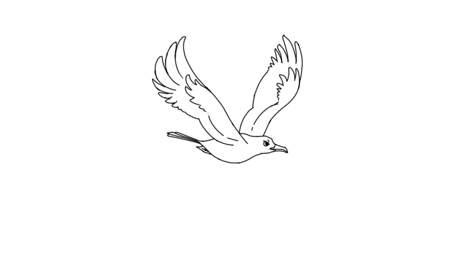 ArtStation - Bird Locomotion