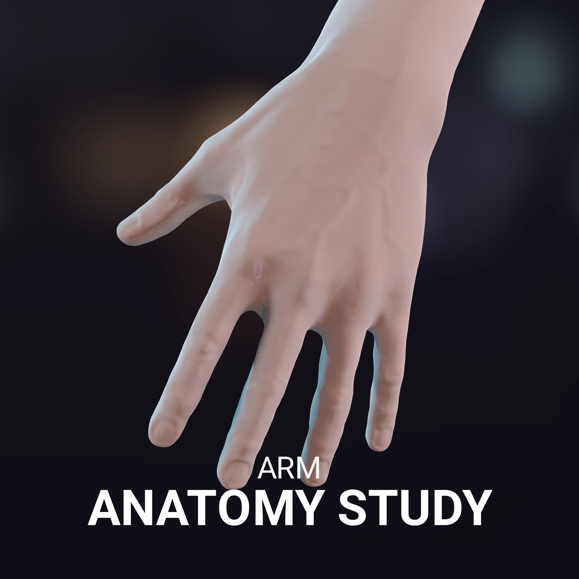 ArtStation - Arm Anatomy Study