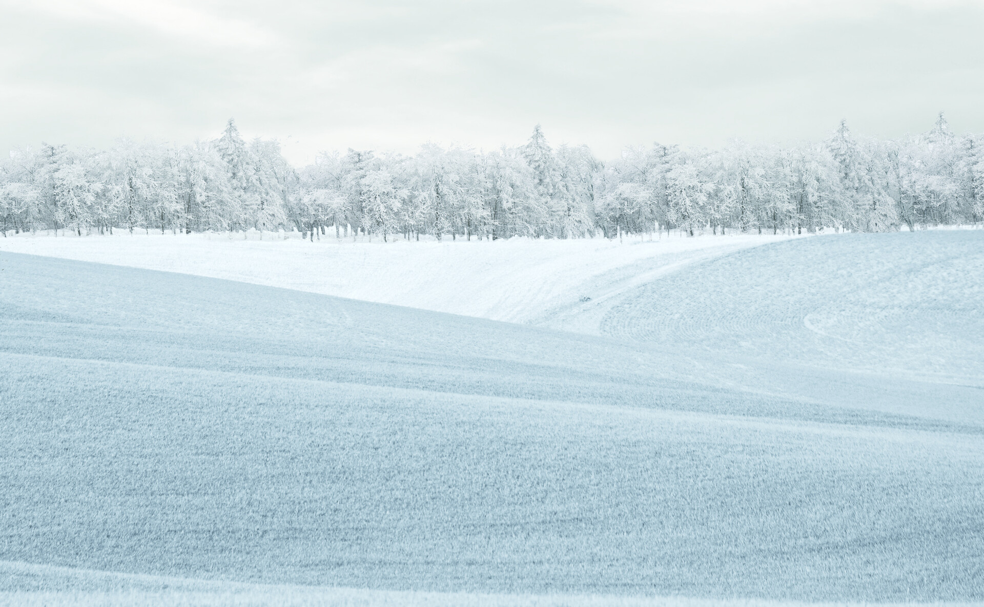 ArtStation - Snow Field