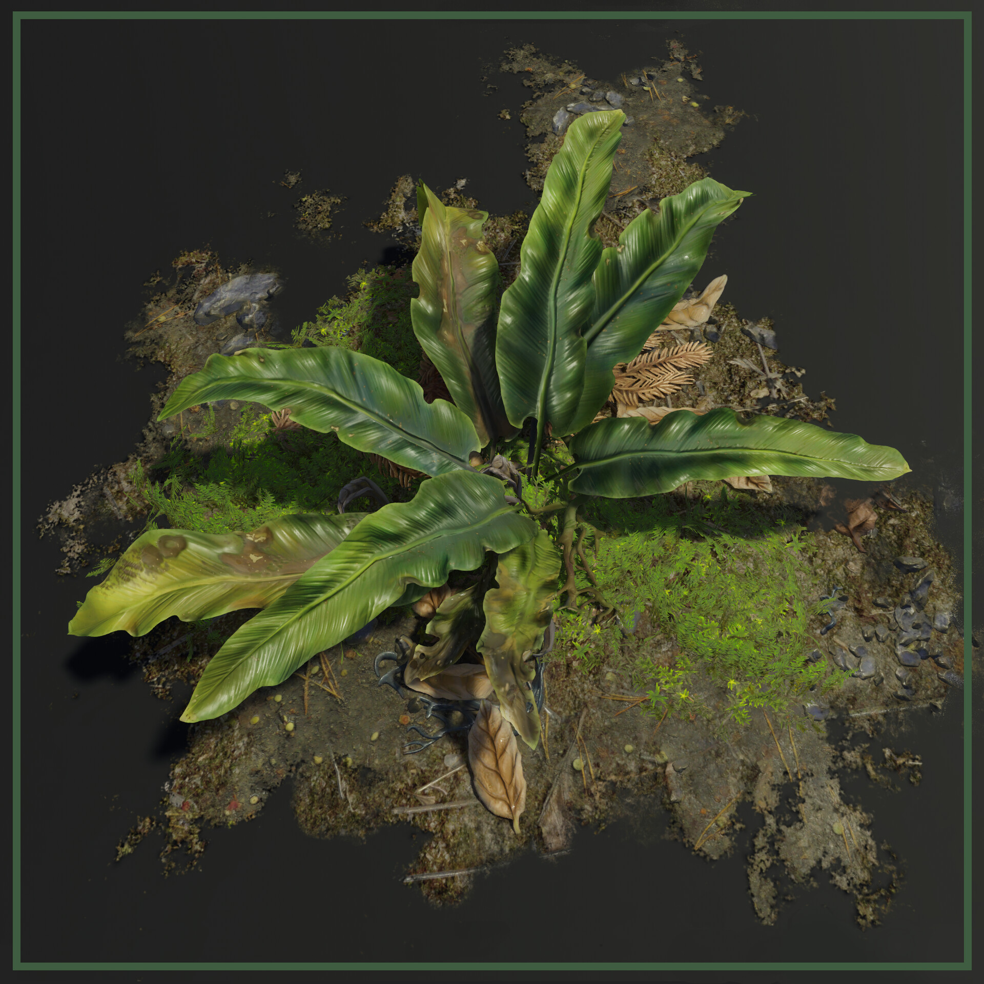 ArtStation - Small Plant