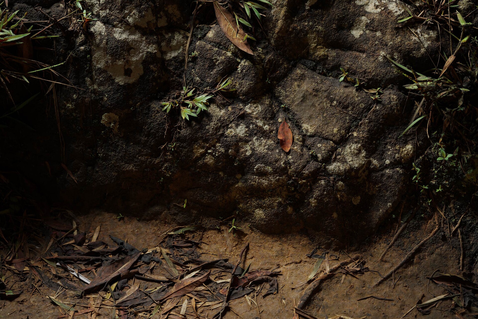 ArtStation - Friendly Shade - Rock 24