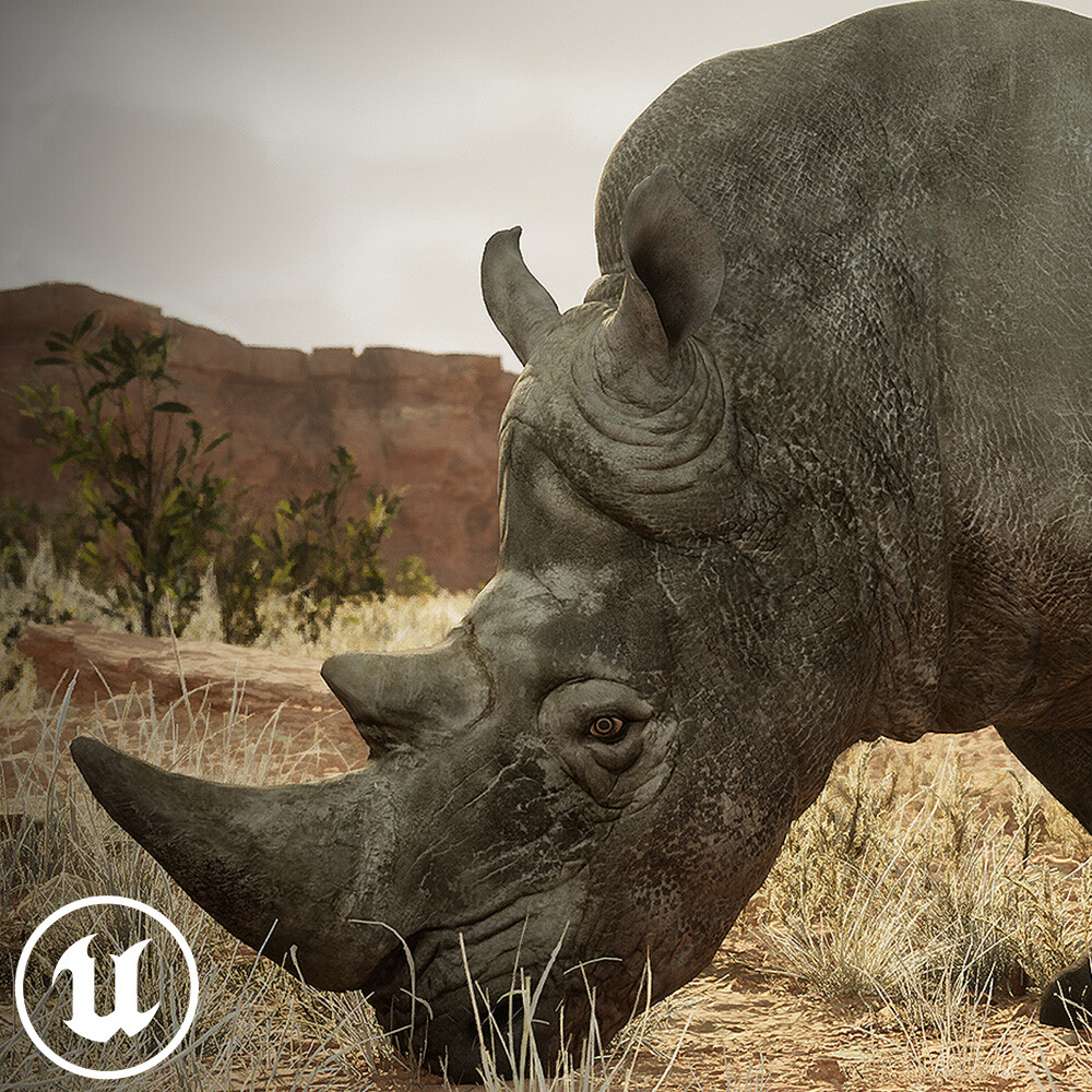ArtStation - White Rhinoceros - Unreal Engine