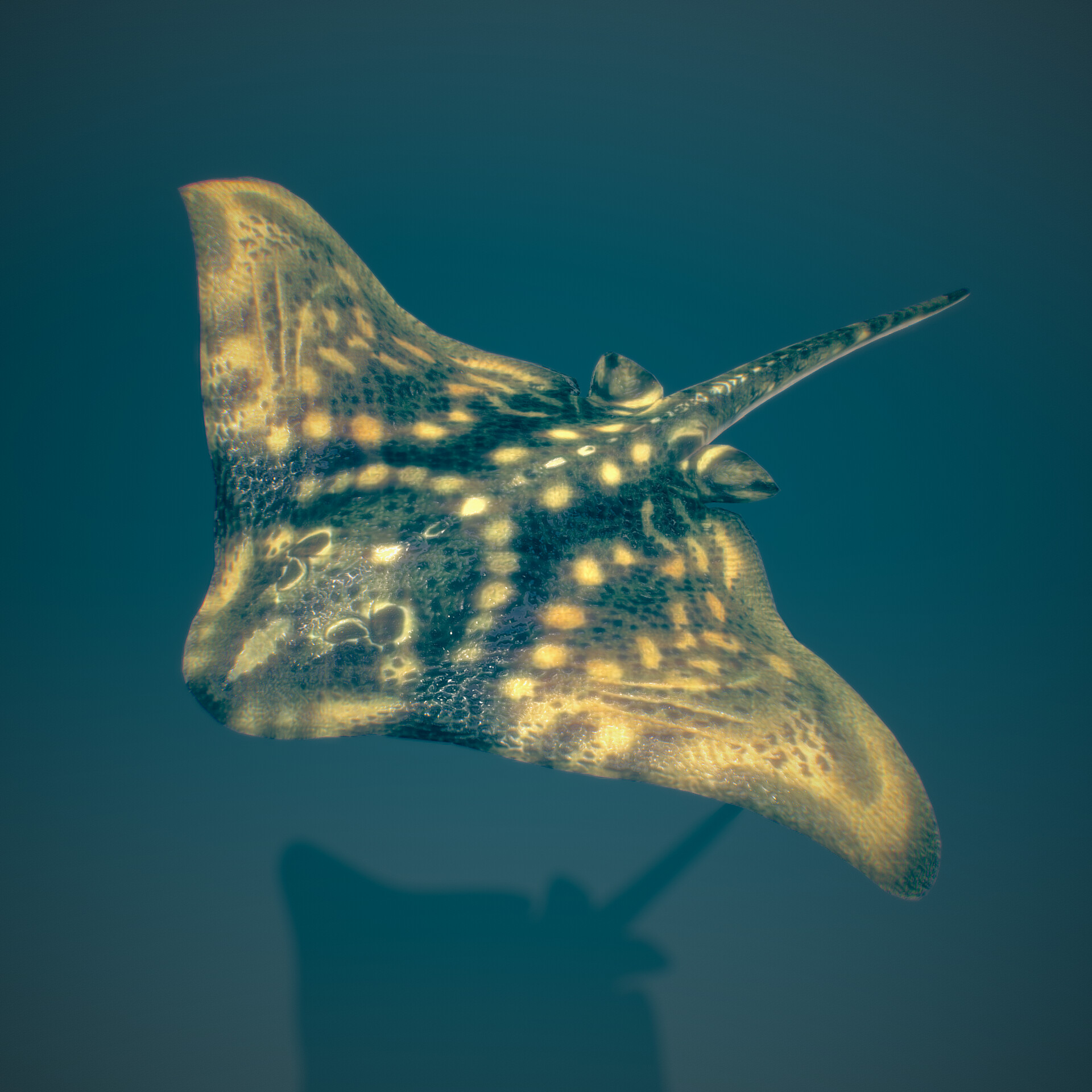 ArtStation - Animated ray